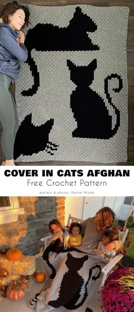 Crochet Cat Blanket Ideas and Free Patterns - Your Crochet