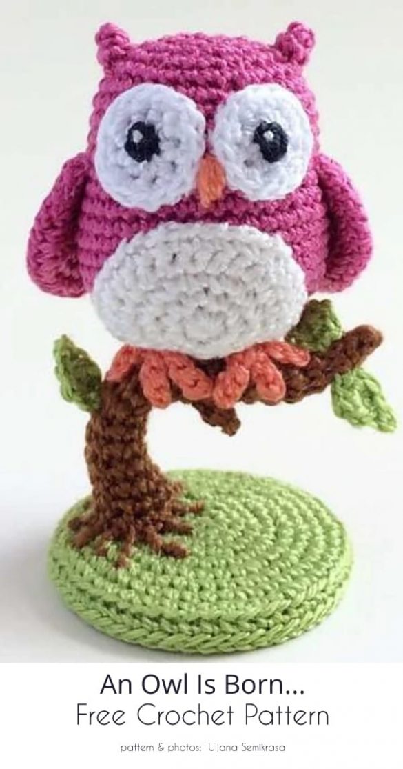 Little Crocheted Owl Collection - Your Crochet
